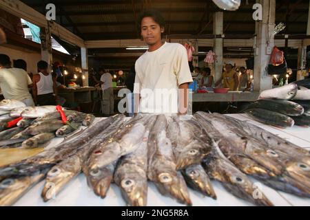 Fish Market, iloilo city, Philippines Stock Photo - Alamy