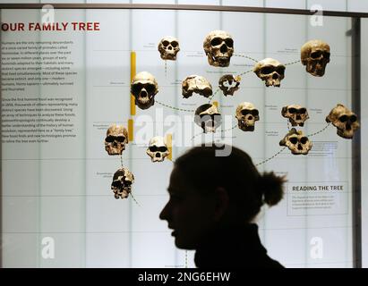 The Spitzer Hall of Human Origins in the American Museum of Natural ...