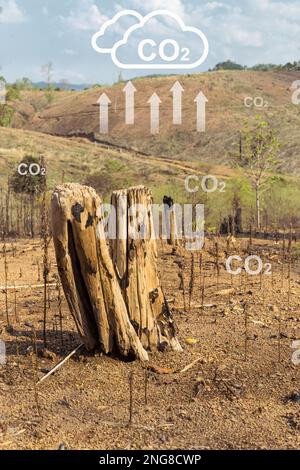 Deforestation are the anthropogenic source of atmospheric carbon ...
