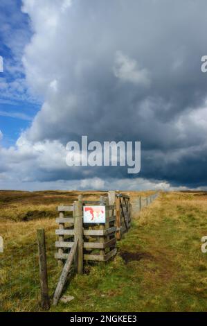 Access gate to Wolf Fell on Saddle fell above Chipping in The Forest of ...