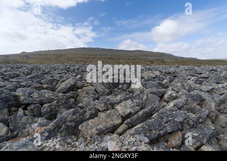Stone run outside of Stanley - The Falkland Islands Stock Photo - Alamy