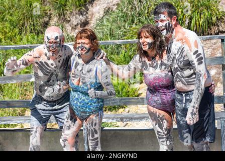 Mud baths at Sulphur Springs geothermal area, Malgretoute, Soufrière ...