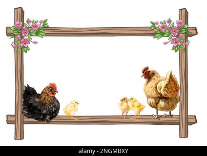 Wooden frame with farm chickens. High quality illustration Stock Photo ...