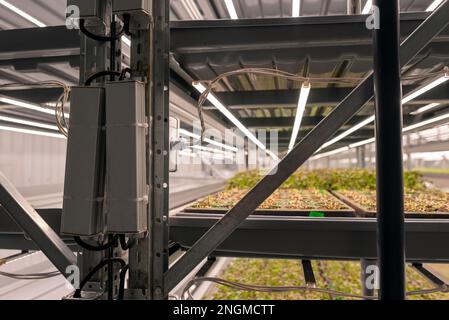 Power supplies of ice lamps on racks in a vertical farm. Automated ...