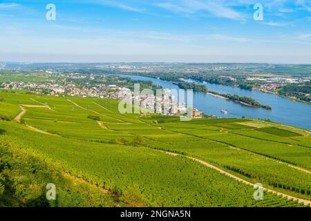 Areial view on vineyards and river near Ruedesheim am Rhein Rhine ...