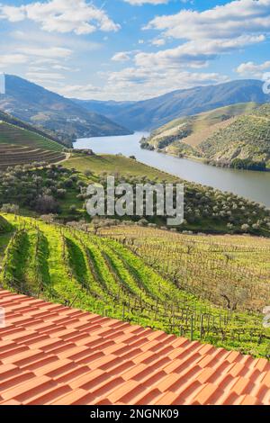 Portugal Douro Douro Valley wineyards village Stock Photo - Alamy