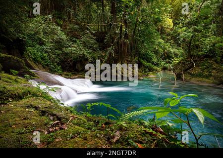 reach falls jamaica caribean island beautiful waterfalls Stock Photo ...