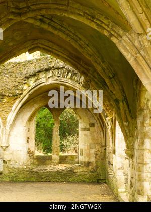 River Wey and Waverley Abbey ruins, Farnham, Surrey, England Stock ...