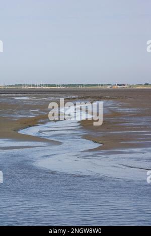 Waddenzee bij Schiermonnikoog; Wadden Sea at Schiermonnikoog Stock ...