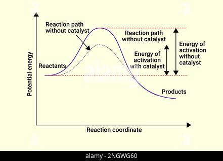 Potential Energy with Reaction coordinate Stock Vector Image & Art - Alamy