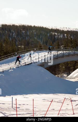 ski slope crossing a beautiful frozen forest and snowy peak mountain ...