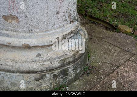 Old column base. Fragment of the base of a cracked column, cracked ...