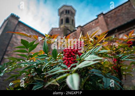 Abbazia del Cerreto: historic monastery in Abbadia Cerreto, Italy known ...
