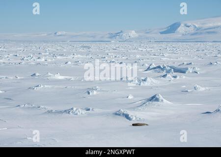 Antarctica, Amundsen Sea, Siple Island. Sea ice with Mount Siple ...