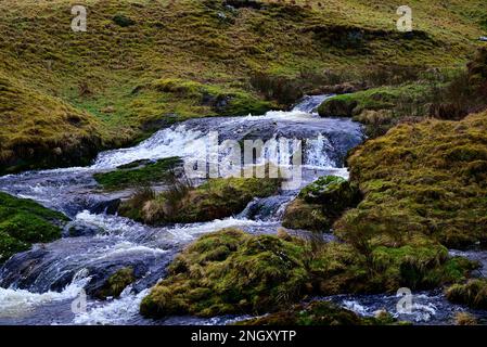 Glen Devon moorland and hills in the mist Stock Photo - Alamy
