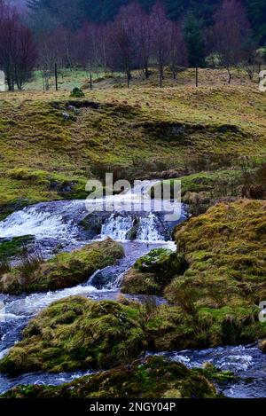 Glen Devon moorland and hills in the mist Stock Photo - Alamy