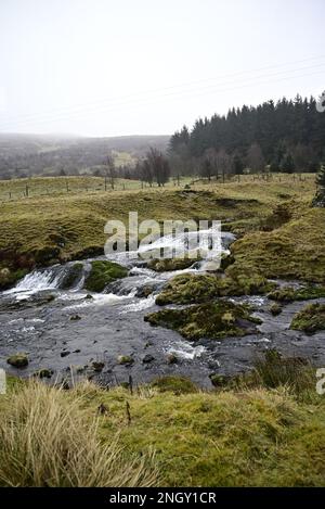 Glen Devon moorland and hills in the mist Stock Photo - Alamy