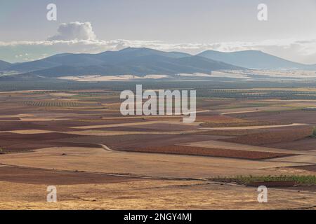 the Spanish mesas near Consuegra in the La Mancha region of Spain at ...