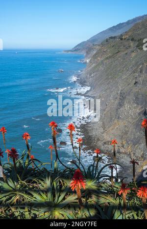 Coastal view from Ragged Point, California, USA Stock Photo - Alamy
