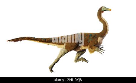 Gallimimus, feathered dinosaur from the Late Cretaceous period ...