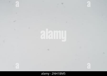 maco shot of snow falling from gray sky. High quality photo Stock Photo ...
