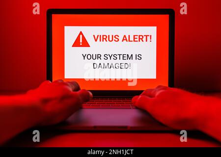 Hacker attack on Computer. Warning text on PC You have been hacked ...