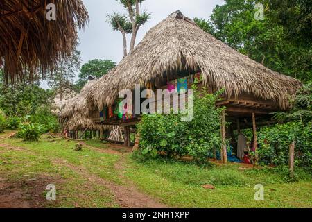 Thatched Huts built on stilts over water in front of with green ...