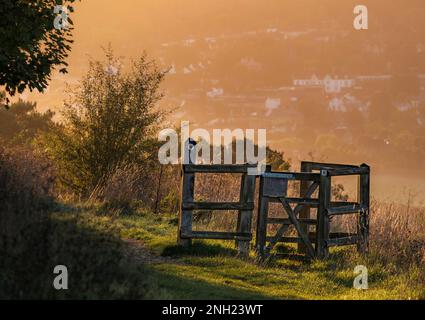 Farm Stye Gate in the Surrey Hills near Dorking England. Taken at dawn ...