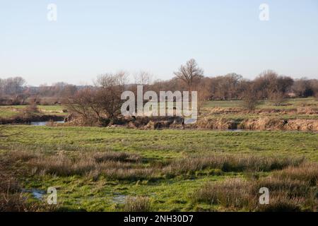 The River Frome in Wool, Dorset in the UK Stock Photo - Alamy