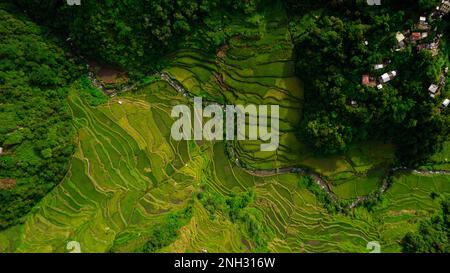 Panorama of Batad rice terraces, Luzon island, Philippines Stock Photo ...