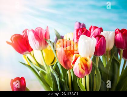 Spring easter tulip bunch on wooden background. Traditional gift for ...