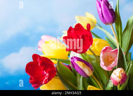 Fresh spring flower bunch colorful plant with carnation flowers ...