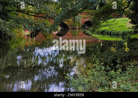 Shady River Bank Hadleigh Suffolk UK Stock Photo - Alamy