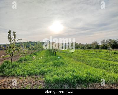 Spring landscape in Maramures, Romania Stock Photo - Alamy