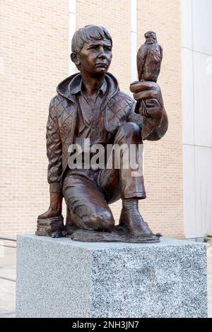 The Kes statue in Barnsley Stock Photo - Alamy