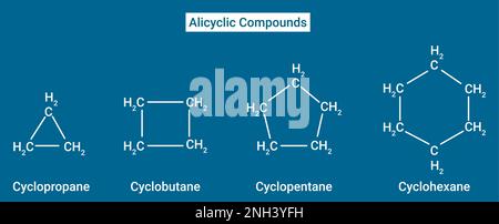 Chemical formula and molecule model cyclopropane C3H6, cyclobutane C4H8 ...