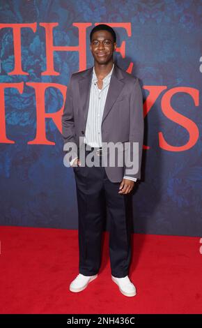 Jorden Myrie attending the special screening of Netflix's The Strays at ...