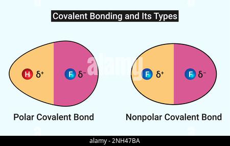 Covalent Bonding and Its Types (Polar Covalent Bond and Nonpolar ...
