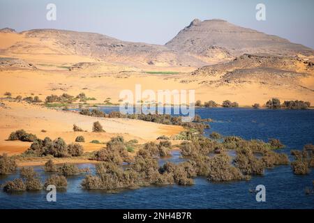 Lake Nasser, reservoir, Nubian Desert behind, Egypt Stock Photo - Alamy