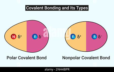 Covalent Bonding and Its Types (Polar Covalent Bond and Nonpolar ...