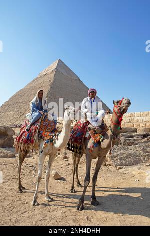 Egyptian men on camelid (Camelidae), behind a pyramid, Giza, Cairo ...