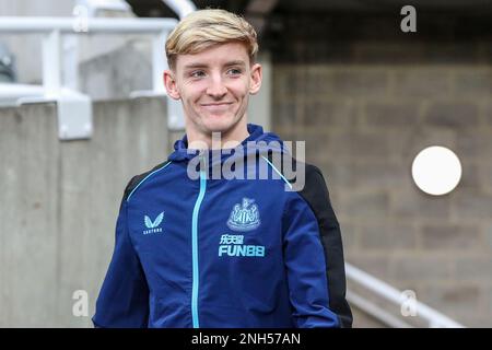 Anthony Gordon Of Newcastle United Arrives during the Newcastle United ...