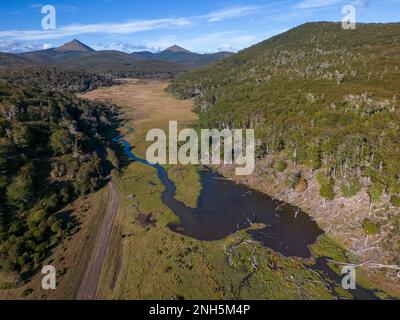 Aerial view of a beaver habitat in Reserva Lago Yeguin on the island ...