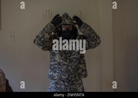 Squad assigned to 3rd Battalion, 7th Artillery Regiment, 25th Infantry ...
