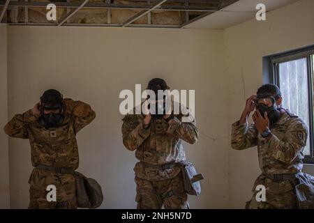 Squad assigned to 3rd Battalion, 7th Artillery Regiment, 25th Infantry ...