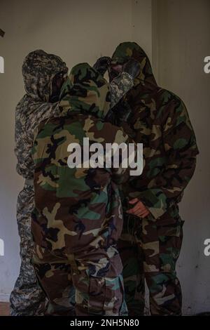 Squad assigned to 3rd Battalion, 7th Artillery Regiment, 25th Infantry ...