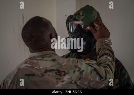Squad assigned to 3rd Battalion, 7th Artillery Regiment, 25th Infantry ...