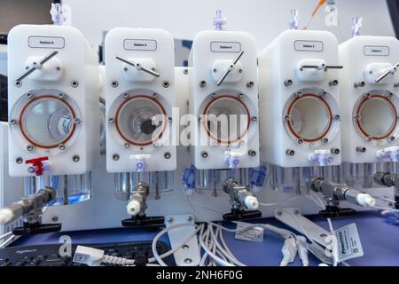 07 February 2023, Mecklenburg-Western Pomerania, Warnemünde: A special ...