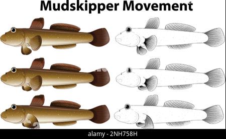 Mudskipper Movement Vector Concept illustration Stock Vector Image ...