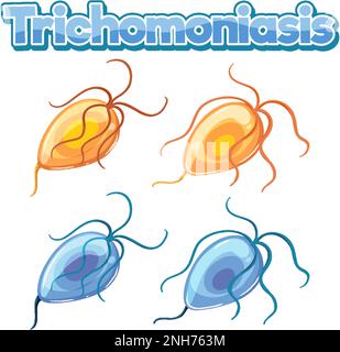 Trichomonas vaginalis (a protozoan parasite) illustration Stock Vector ...